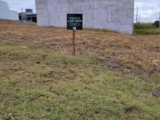 Terreno / Lote para Venda em Londrina/PR Gleba Esperança