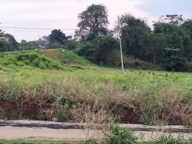 Terreno / Lote para Venda em Londrina/PR Gleba Esperança