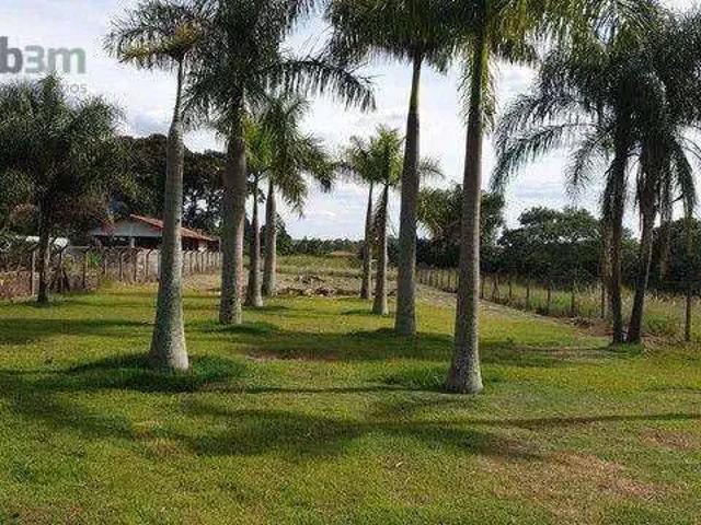 Terreno / Lote para Venda em Londrina/PR Gleba Palhano