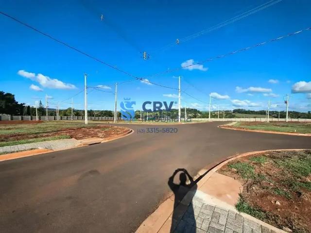 Terreno / Lote para Venda em Londrina/PR Gleba Palhano