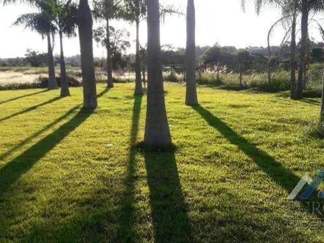 Terreno / Lote para Venda em Londrina/PR Gleba Palhano