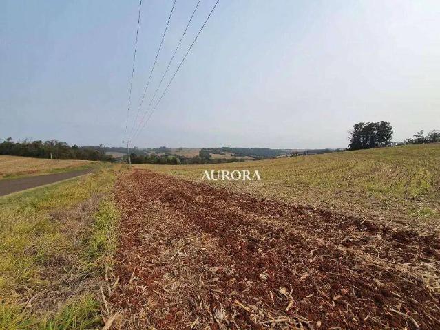 Terreno / Lote para Venda em Londrina/PR Gleba Palhano