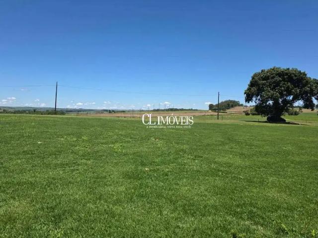 Terreno / Lote para Venda em Londrina/PR Gleba Ribeirão Cafezal