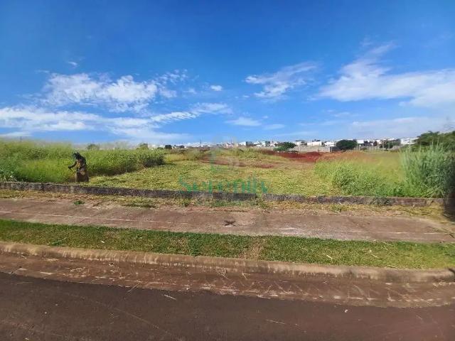 Terreno / Lote para Venda em Londrina/PR Gleba Simon Frazer