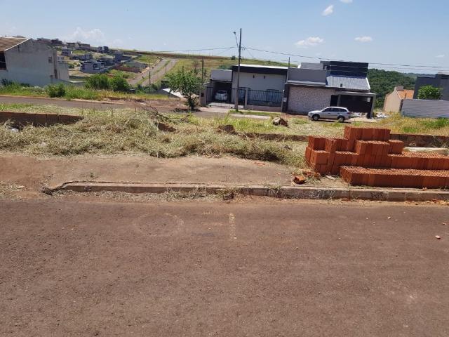 Terreno / Lote para Venda em Londrina/PR Gleba Simon Frazer