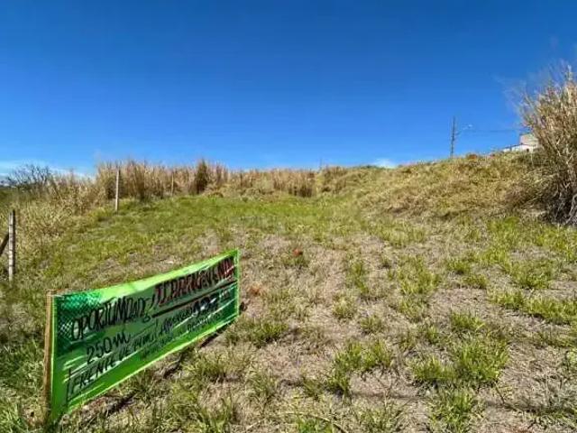 Terreno / Lote para Venda em Londrina/PR Gleba Simon Frazer