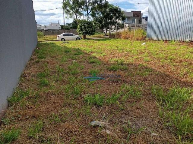 Terreno / Lote para Venda em Londrina/PR Gleba Simon Frazer