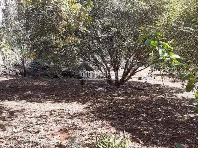 Terreno / Lote para Venda em Londrina/PR Indústrias Leves