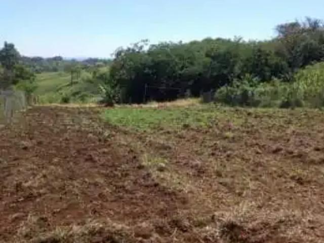 Terreno / Lote para Venda em Londrina/PR Irerê