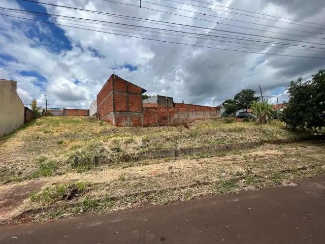 Terreno / Lote para Venda em Londrina/PR Jardim Tarumã