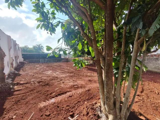 Terreno / Lote para Venda em Londrina/PR Jardim Tókio