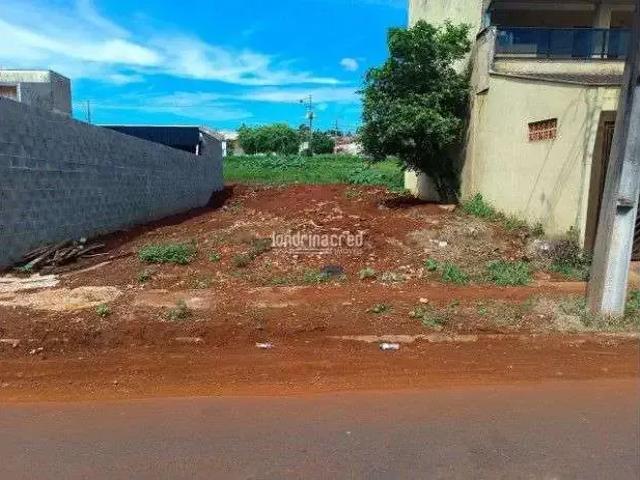 Terreno / Lote para Venda em Londrina/PR Jardim Tropical