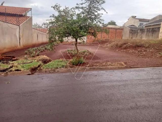 Terreno / Lote para Venda em Londrina/PR Jardim Tropical