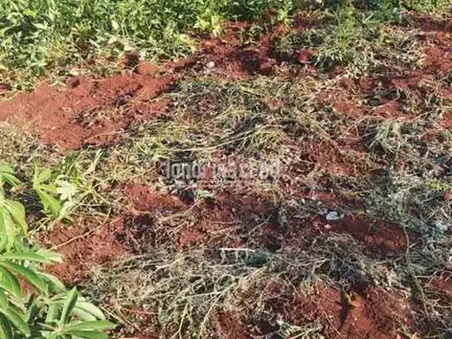 Terreno / Lote para Venda em Londrina/PR Jardim Barcelona
