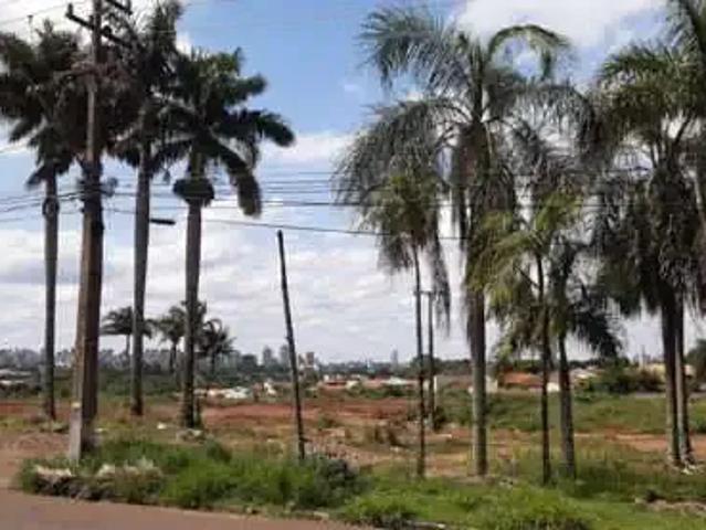 Terreno / Lote para Venda em Londrina/PR Jardim Burle Marx 1 Quartos