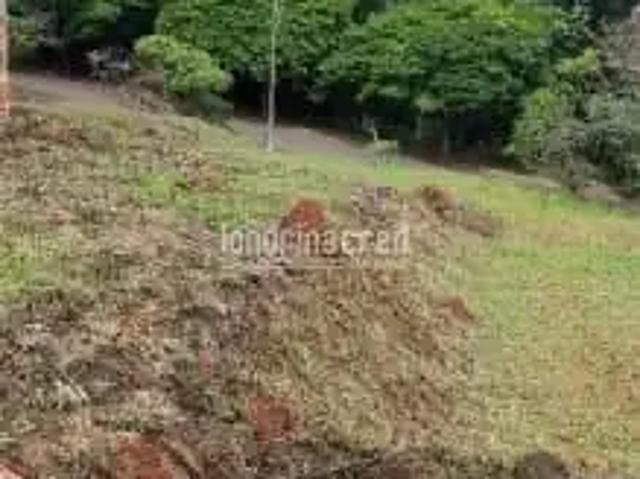 Terreno / Lote para Venda em Londrina/PR Jardim Colúmbia D