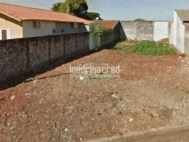 Terreno / Lote para Venda em Londrina/PR Jardim das Palmeiras