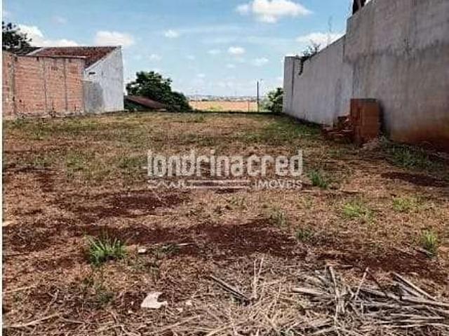 Terreno / Lote para Venda em Londrina/PR Jardim Laranjeiras