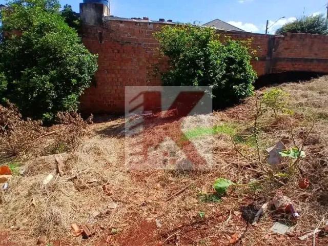 Terreno / Lote para Venda em Londrina/PR Jardim Nova Esperança