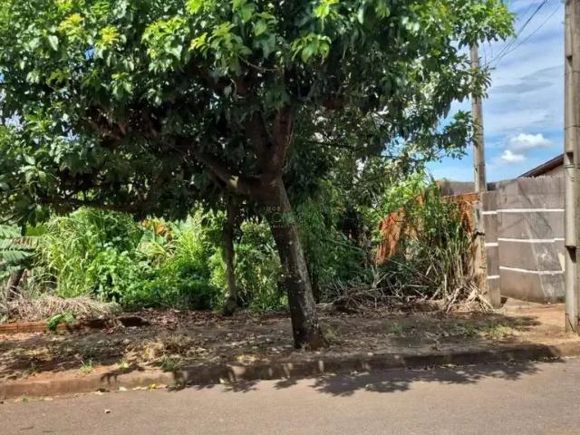 Terreno / Lote para Venda em Londrina/PR Jardim Novo Sabará
