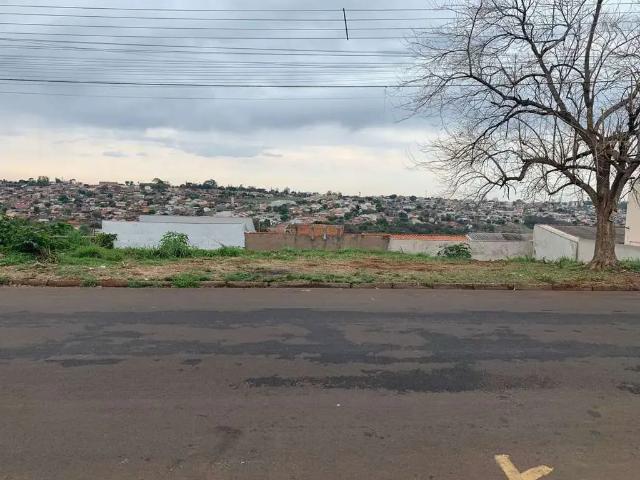 Terreno / Lote para Venda em Londrina/PR Jardim Olímpico