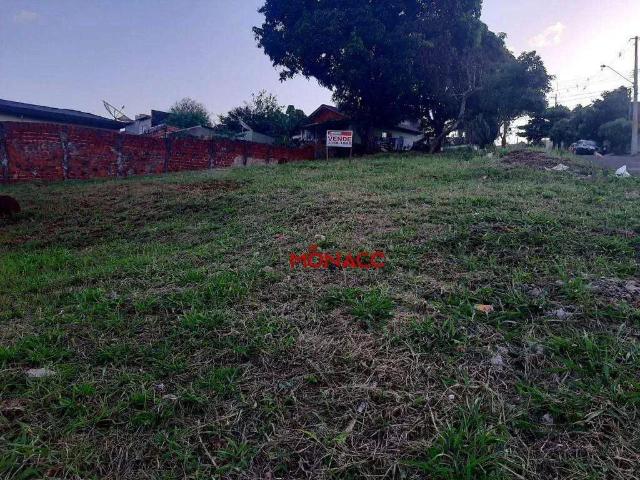 Terreno / Lote para Venda em Londrina/PR Jardim Olímpico