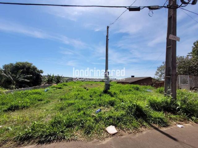 Terreno / Lote para Venda em Londrina/PR Jardim Olímpico