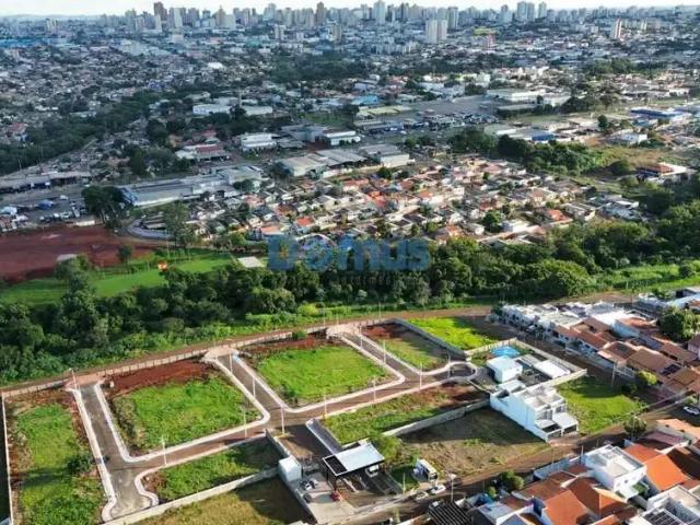 Terreno / Lote para Venda em Londrina/PR Jardim Pacaembu