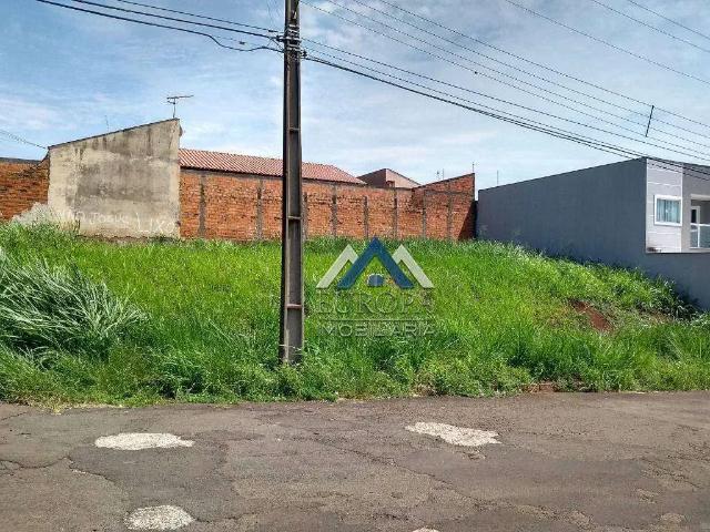 Terreno / Lote para Venda em Londrina/PR Jardim Pacaembu