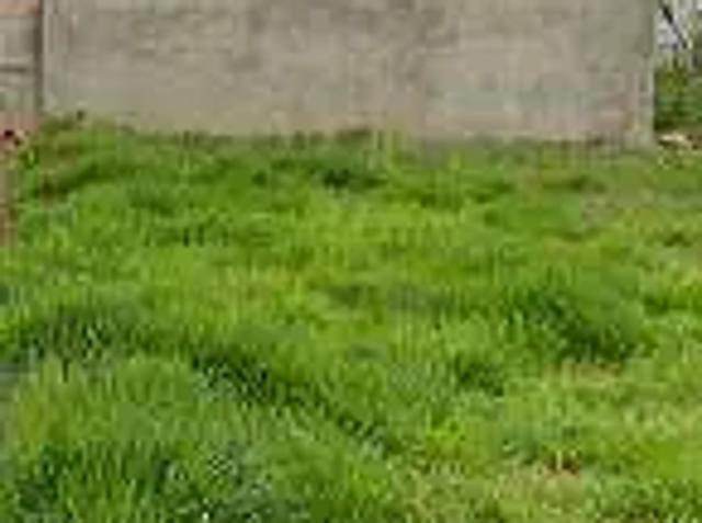 Terreno / Lote para Venda em Londrina/PR Jardim Padovani
