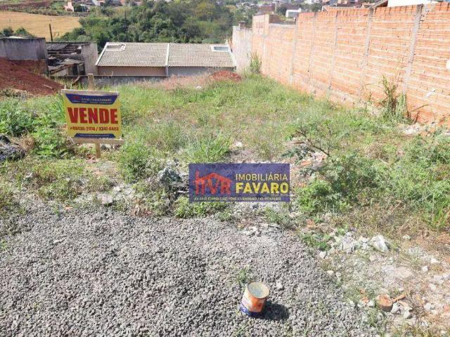Terreno / Lote para Venda em Londrina/PR Jardim Paris