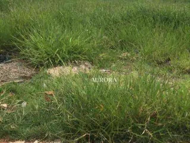 Terreno / Lote para Venda em Londrina/PR Jardim Pioneiros