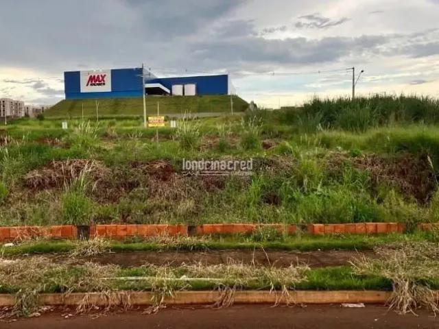 Terreno / Lote para Venda em Londrina/PR Jardim Pioneiros