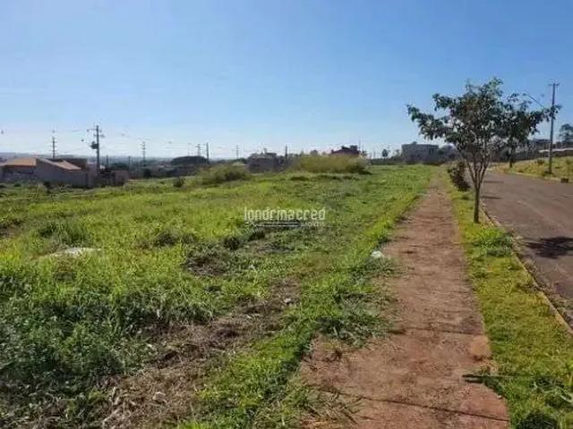 Terreno / Lote para Venda em Londrina/PR Jardim Pioneiros
