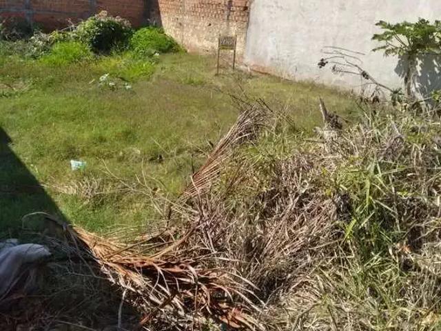Terreno / Lote para Venda em Londrina/PR Jardim Primavera