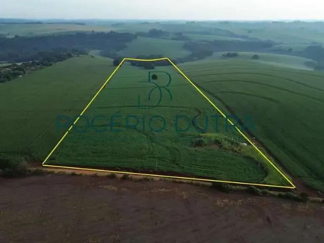 Terreno / Lote para Venda em Londrina/PR Jardim Primavera