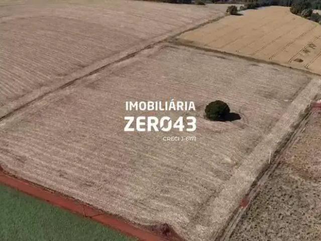 Terreno / Lote para Venda em Londrina/PR Jardim Primavera