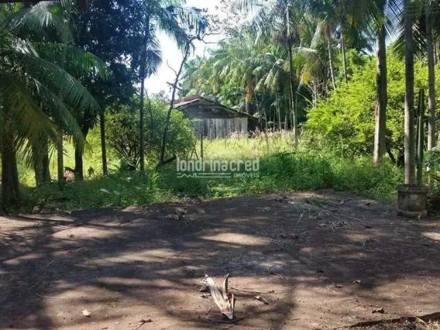 Terreno / Lote para Venda em Londrina/PR Jardim Rosicler