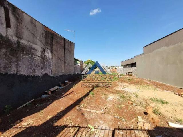 Terreno / Lote para Venda em Londrina/PR Leonor
