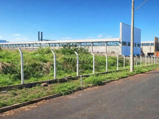 Terreno / Lote para Venda em Londrina/PR Leonor