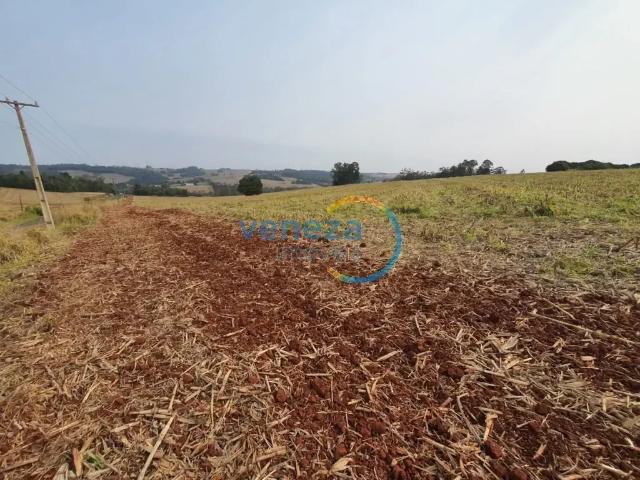 Terreno / Lote para Venda em Londrina/PR Palhano 2