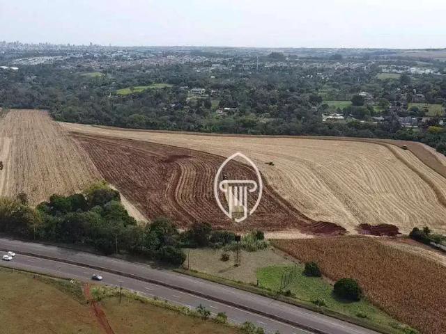 Terreno / Lote para Venda em Londrina/PR Parque Industrial Buena Vista