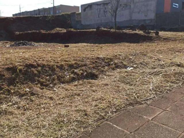 Terreno / Lote para Venda em Londrina/PR Parque Industrial José Belinati