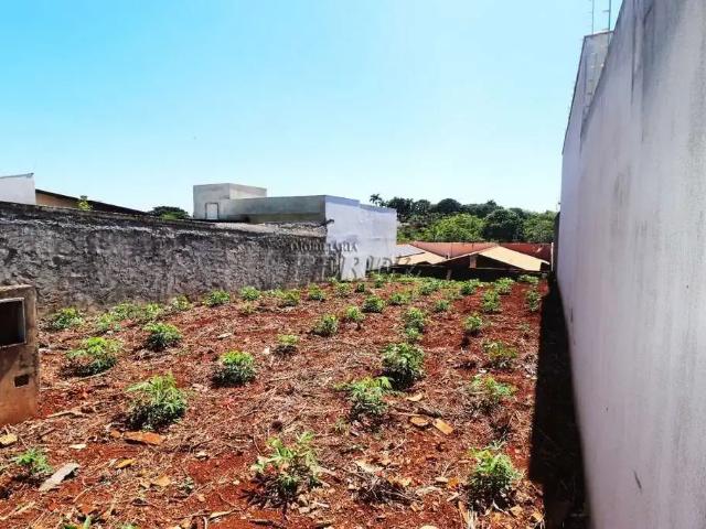 Terreno / Lote para Venda em Londrina/PR Residencial Loris Sahyun