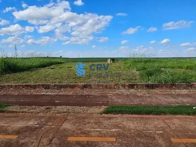 Terreno / Lote para Venda em Londrina/PR Residencial Terra Nova