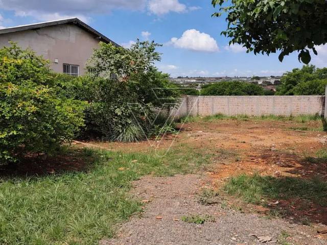Terreno / Lote para Venda em Londrina/PR Residencial Vila Romana