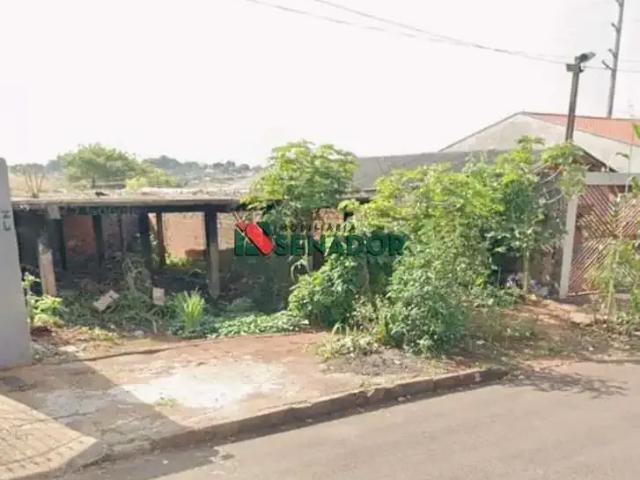 Terreno / Lote para Venda em Londrina/PR Ricardo