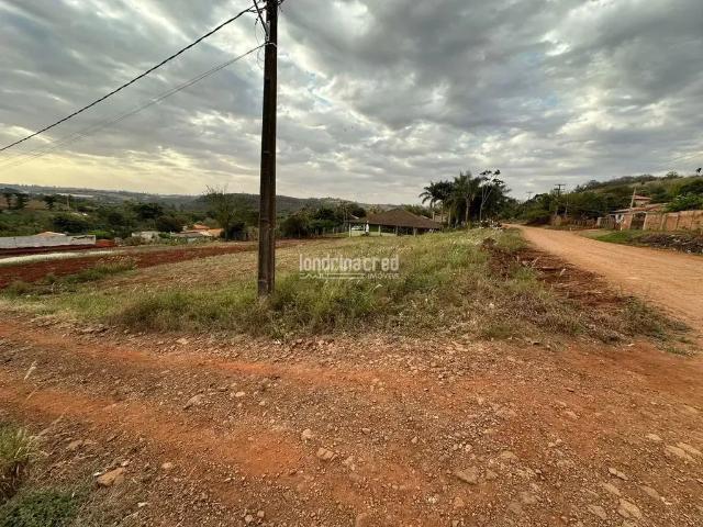 Terreno / Lote para Venda em Londrina/PR Selva