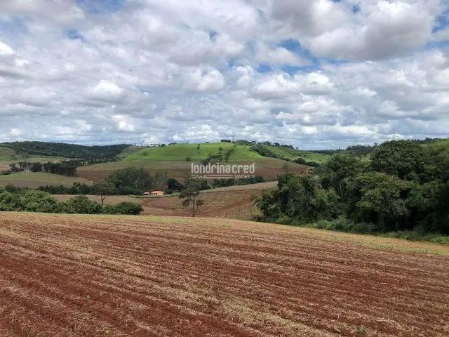 Terreno / Lote para Venda em Londrina/PR Selva