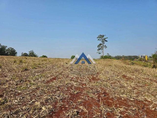 Terreno / Lote para Venda em Londrina/PR Usina